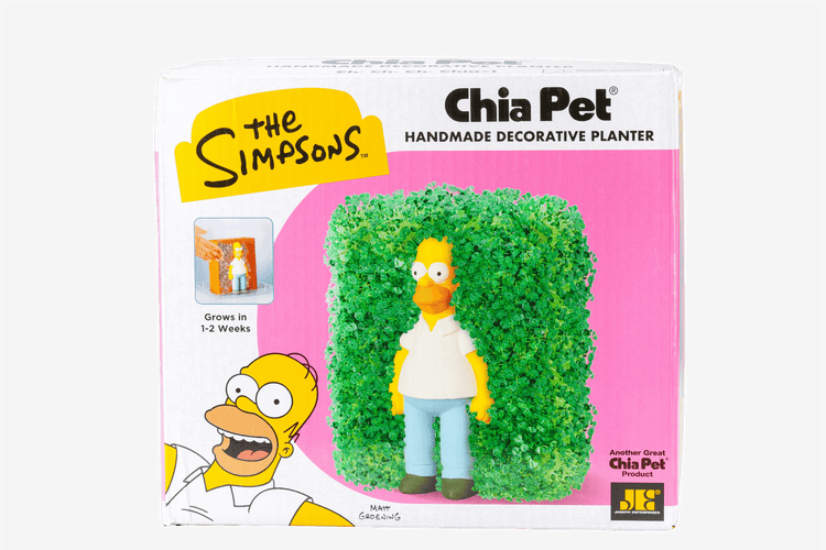 Chia Pet – The Simpsons Homer Decorative Planter